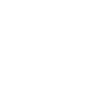 Jewish Comics Experience